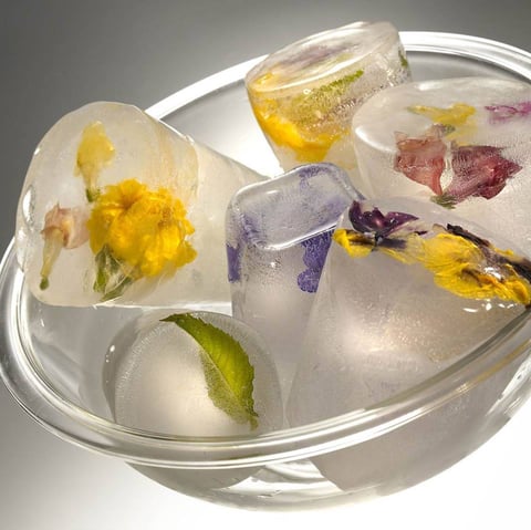 5 Cool Ideas for Ice Cubes