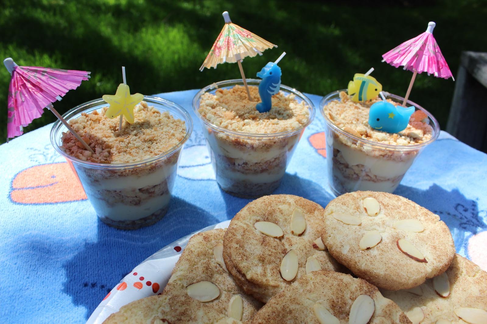 Sandy Beach Dessert Pudding Cups